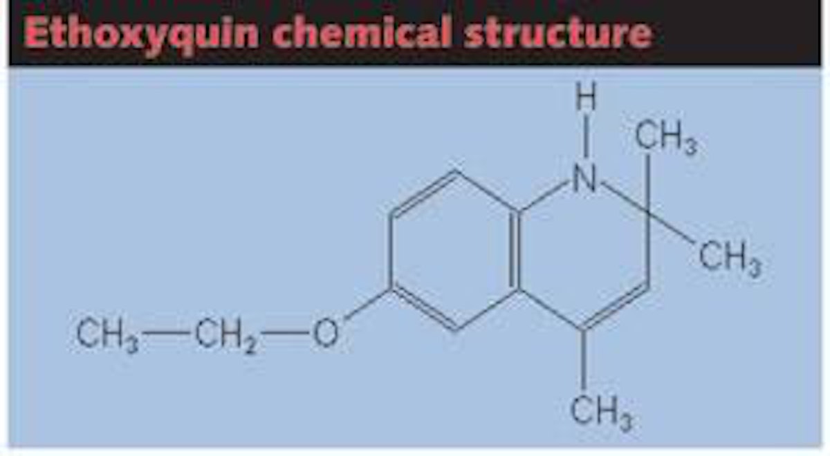 Ethoxyquin in pet food | PetfoodIndustry