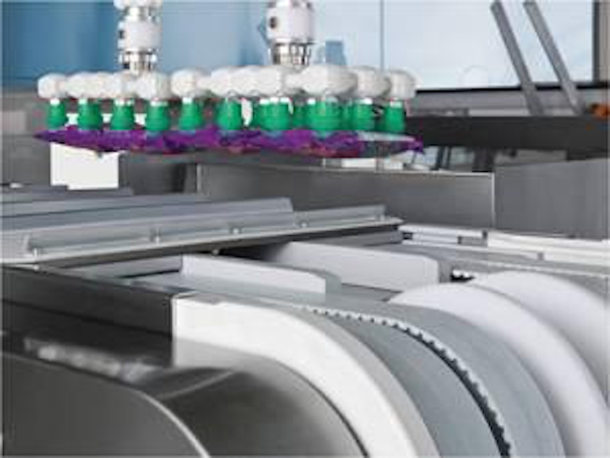 Bosch CCM 3100 case packer From: Bosch Packaging Technology Inc ...