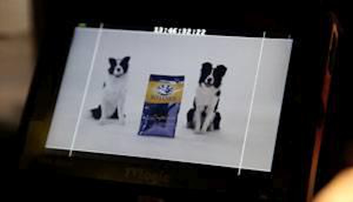 Wellness natural petfood brand launches TV ad campaign | PetfoodIndustry