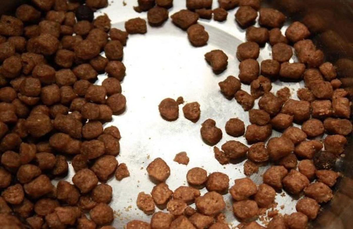 Caramel boosts brown coloration in pet food | PetfoodIndustry