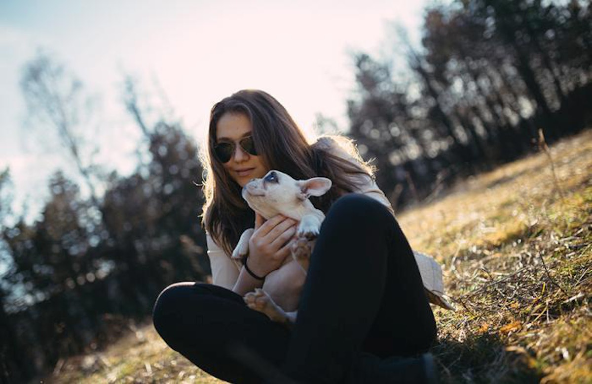 Cesar launches small dog breed foods with ad campaign | PetfoodIndustry