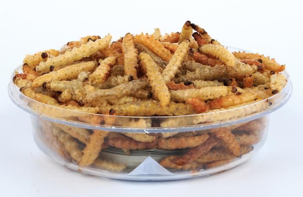 Insect protein demand by pet food may be 165k tons by 2030 ...