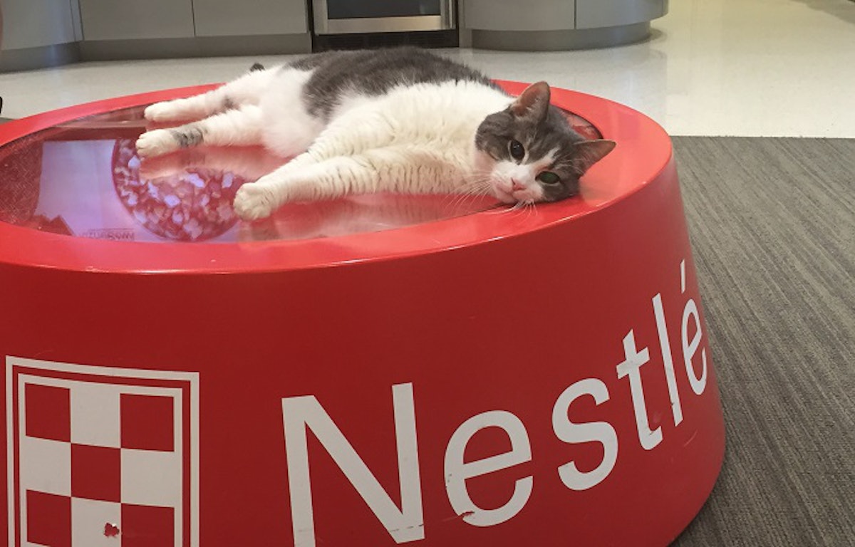 Purina opens pet food distribution center in Georgia | PetfoodIndustry