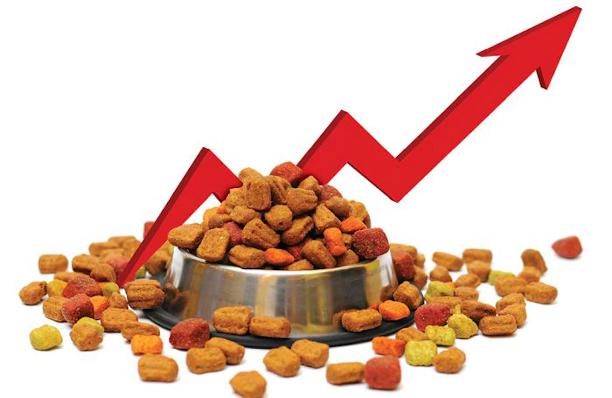 Spring 2021 pet food and treat new product trends | PetfoodIndustry