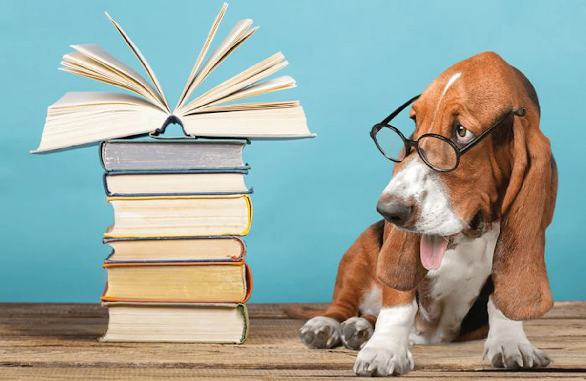 Top pet health trends impacting pet nutrition research | PetfoodIndustry