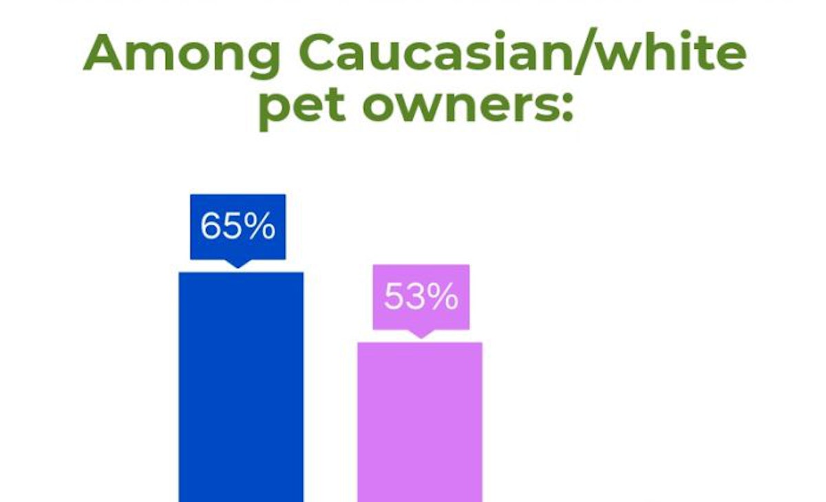 Infographic: Pet ownership rates of four US ethnic groups | PetfoodIndustry