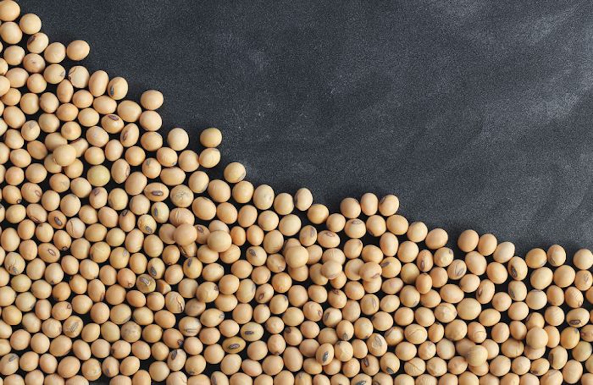 whole soybeans