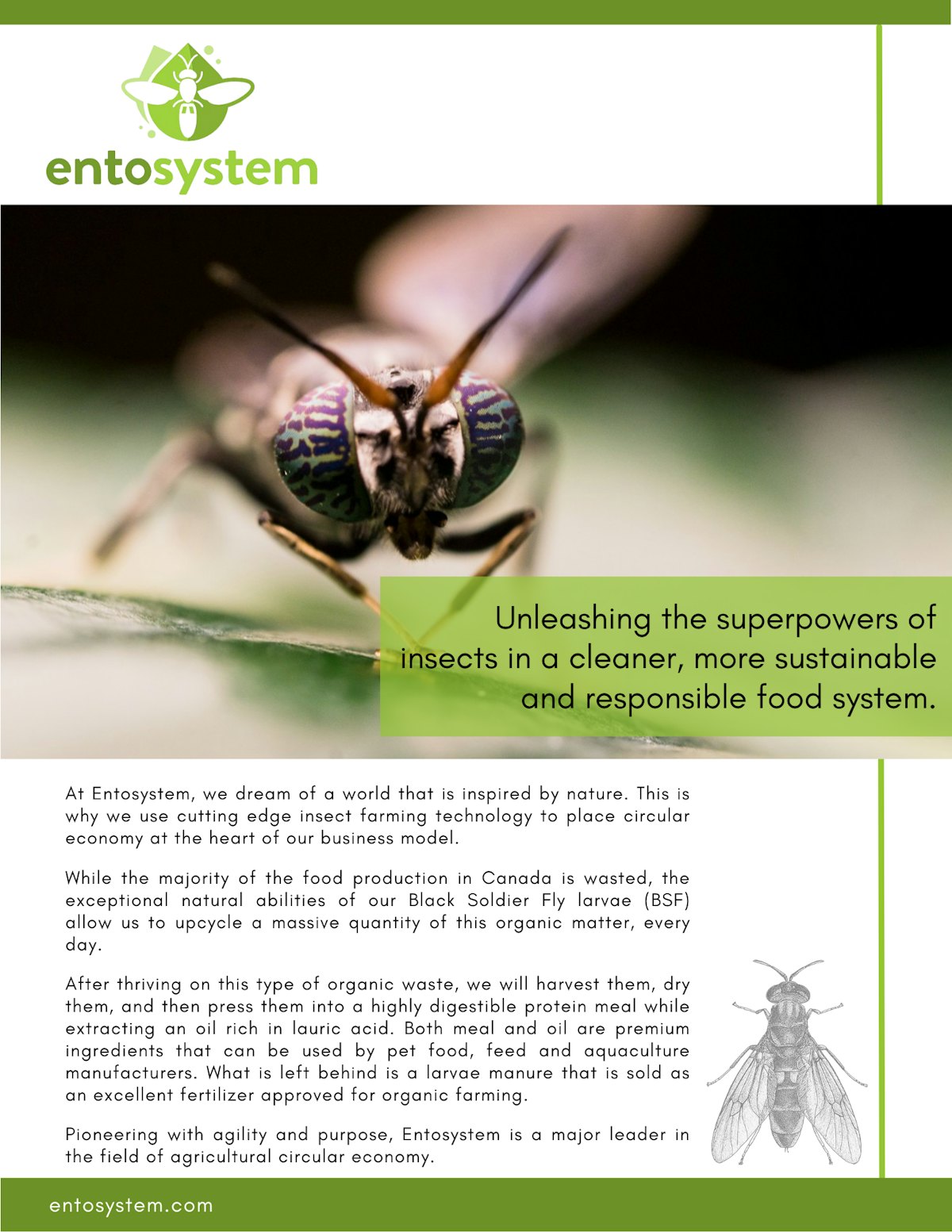 Feuillet_Pet_Food_2pages.pdf | PetfoodIndustry