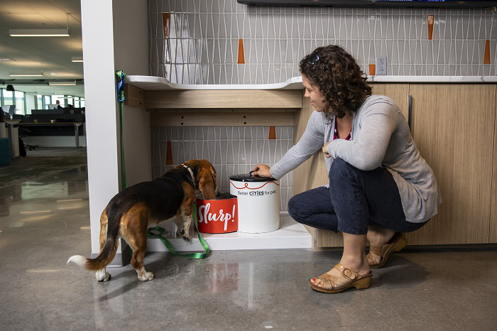 Mars Petcare opens new US pet-friendly headquarters | PetfoodIndustry