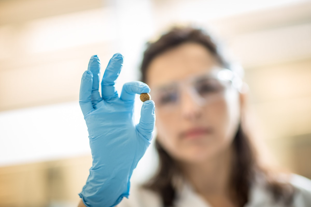 Optimizing palatability to produce high performing pet foods ...