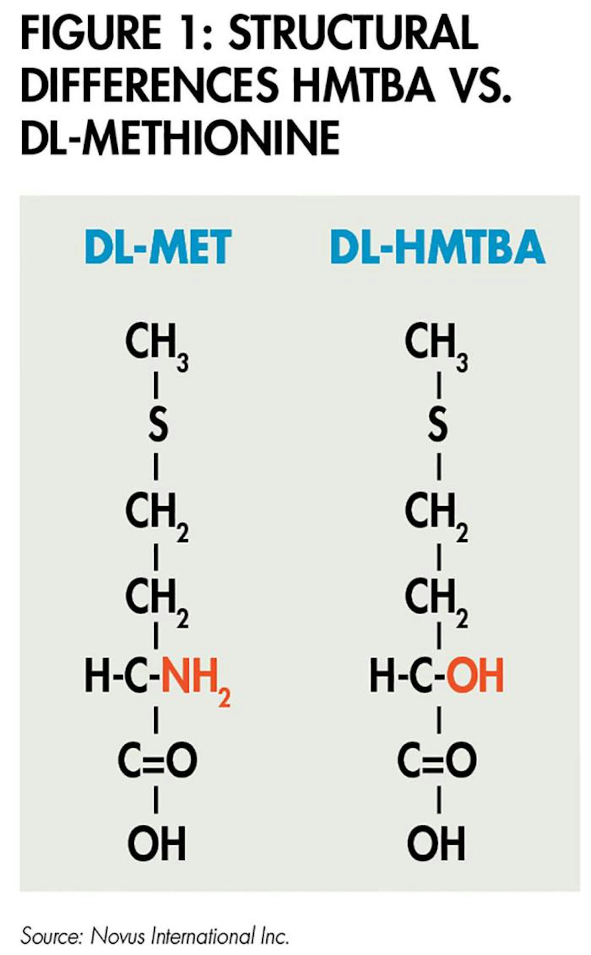 methionine structure