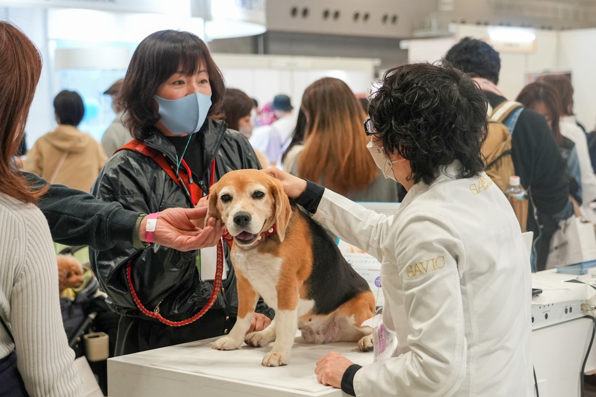 Japanese team to research pet periodontal disease | PetfoodIndustry