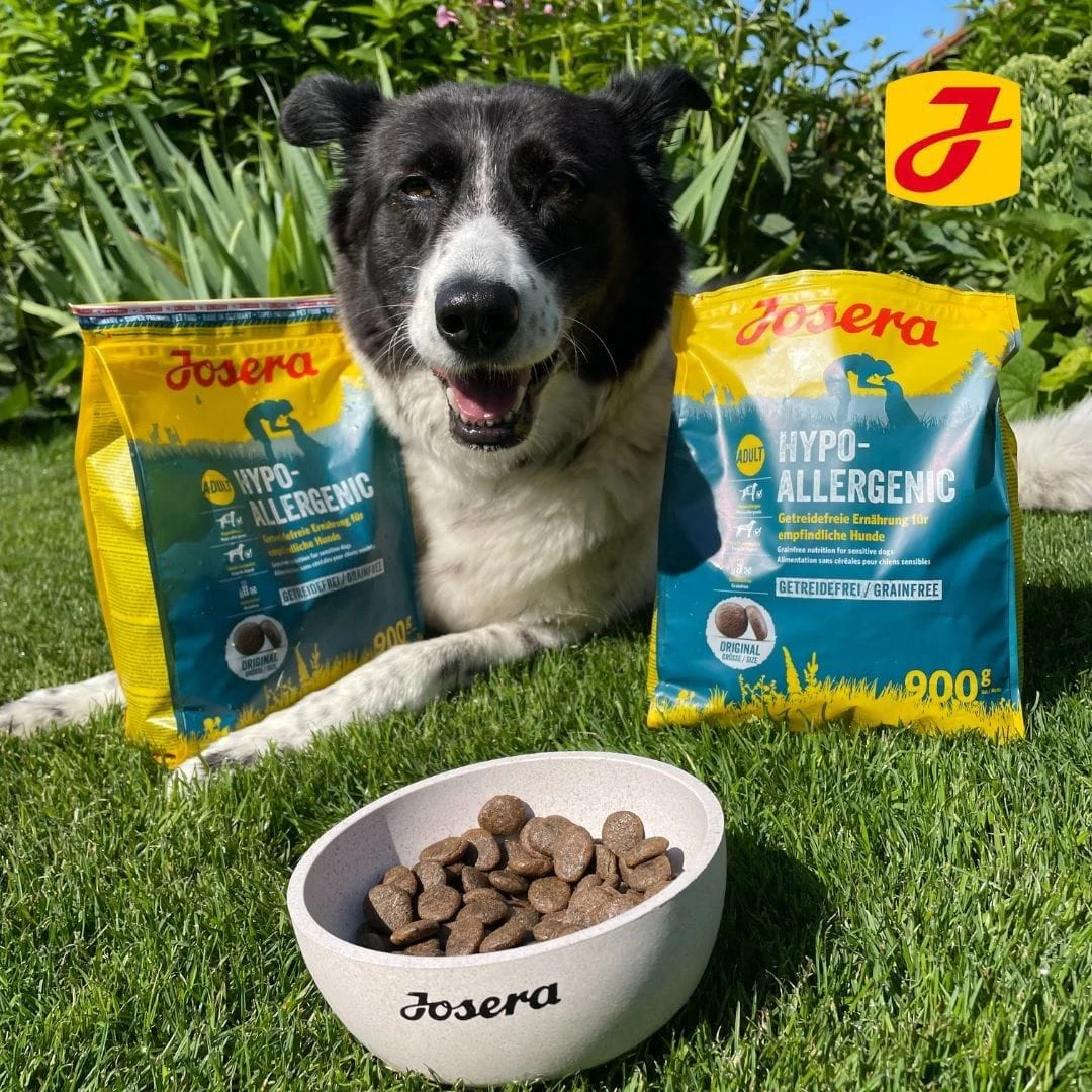 3 European Pet Food Ingredient Companies Launch Expansions 3 European Pet Food Ingredient Companies Launch Expansions