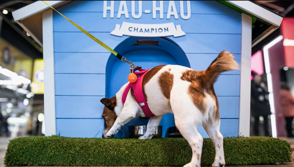 AI-powered dog food vending machine debuts in Finland | PetfoodIndustry