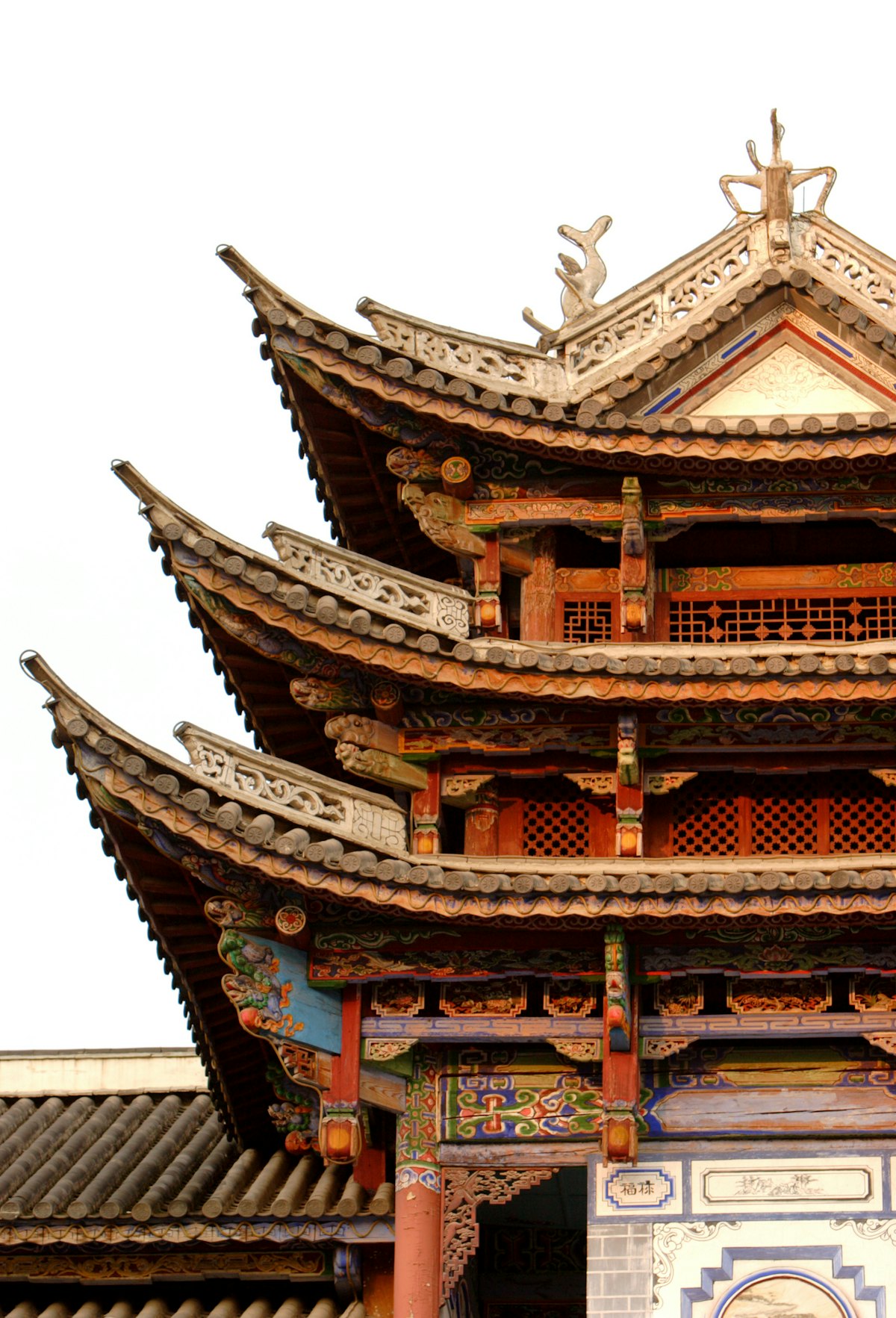 China launches new global pet supply chain platform | PetfoodIndustry