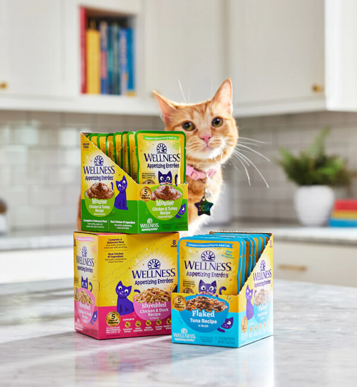 Wellness Pet expands wet cat portfolio with focus on hydration ...