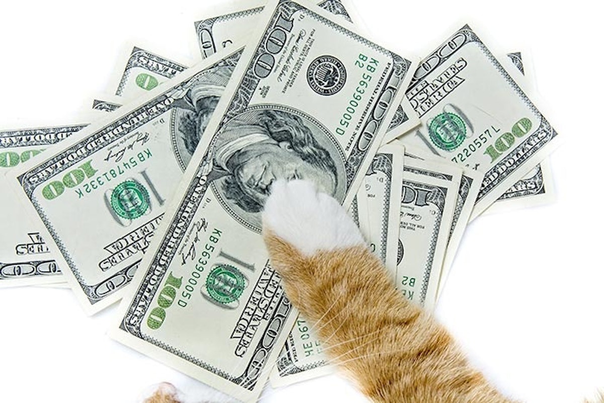 July 2024: Pet prices up 0.1% as inflation falls to 2.9% | PetfoodIndustry
