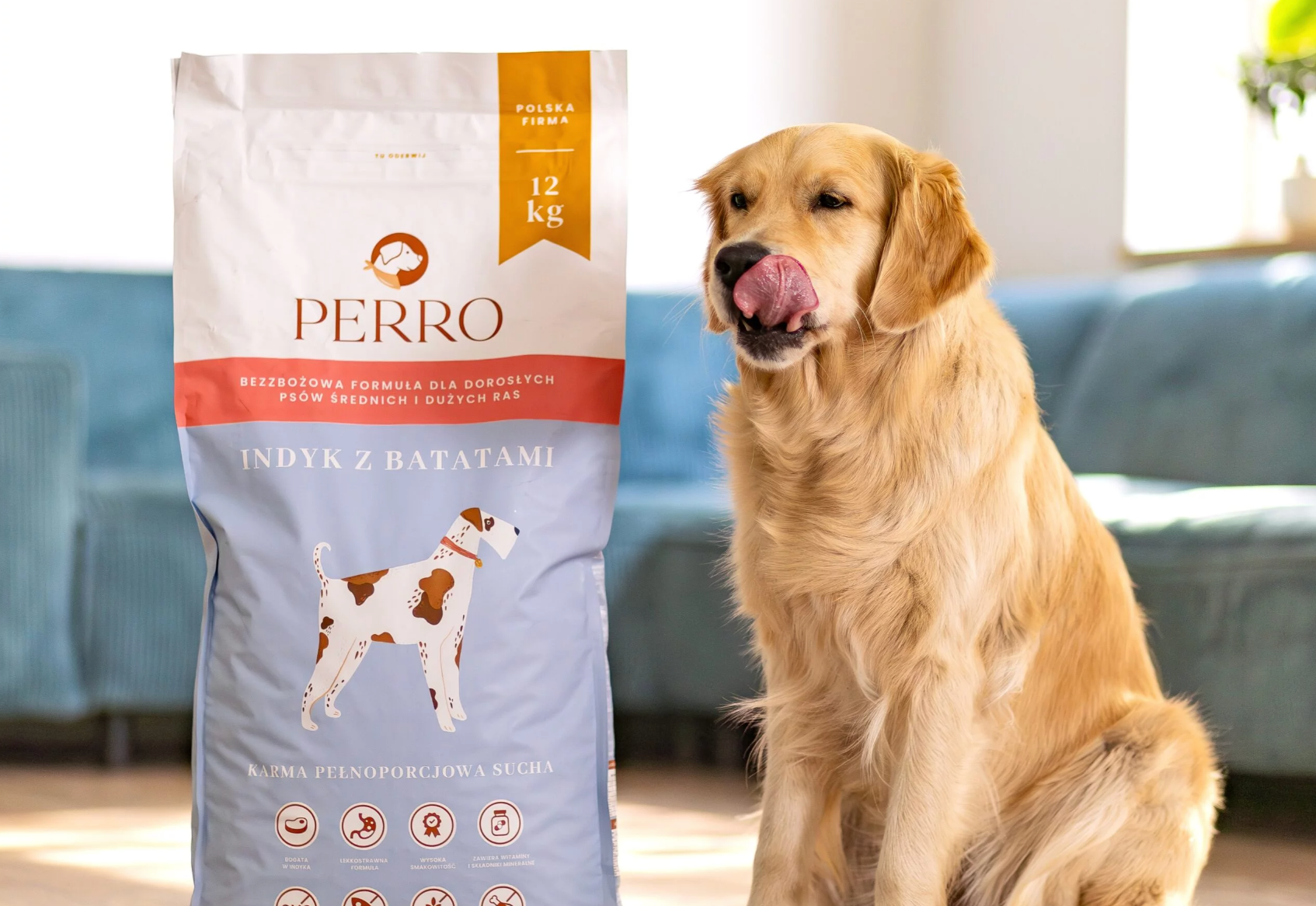 Taiwanese pet food market reports strong growth | PetfoodIndustry
