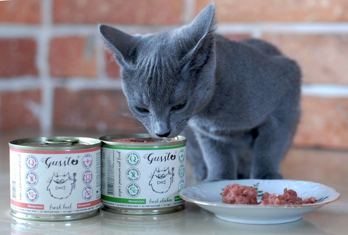 Cat food specialist eyes Asian expansion | PetfoodIndustry