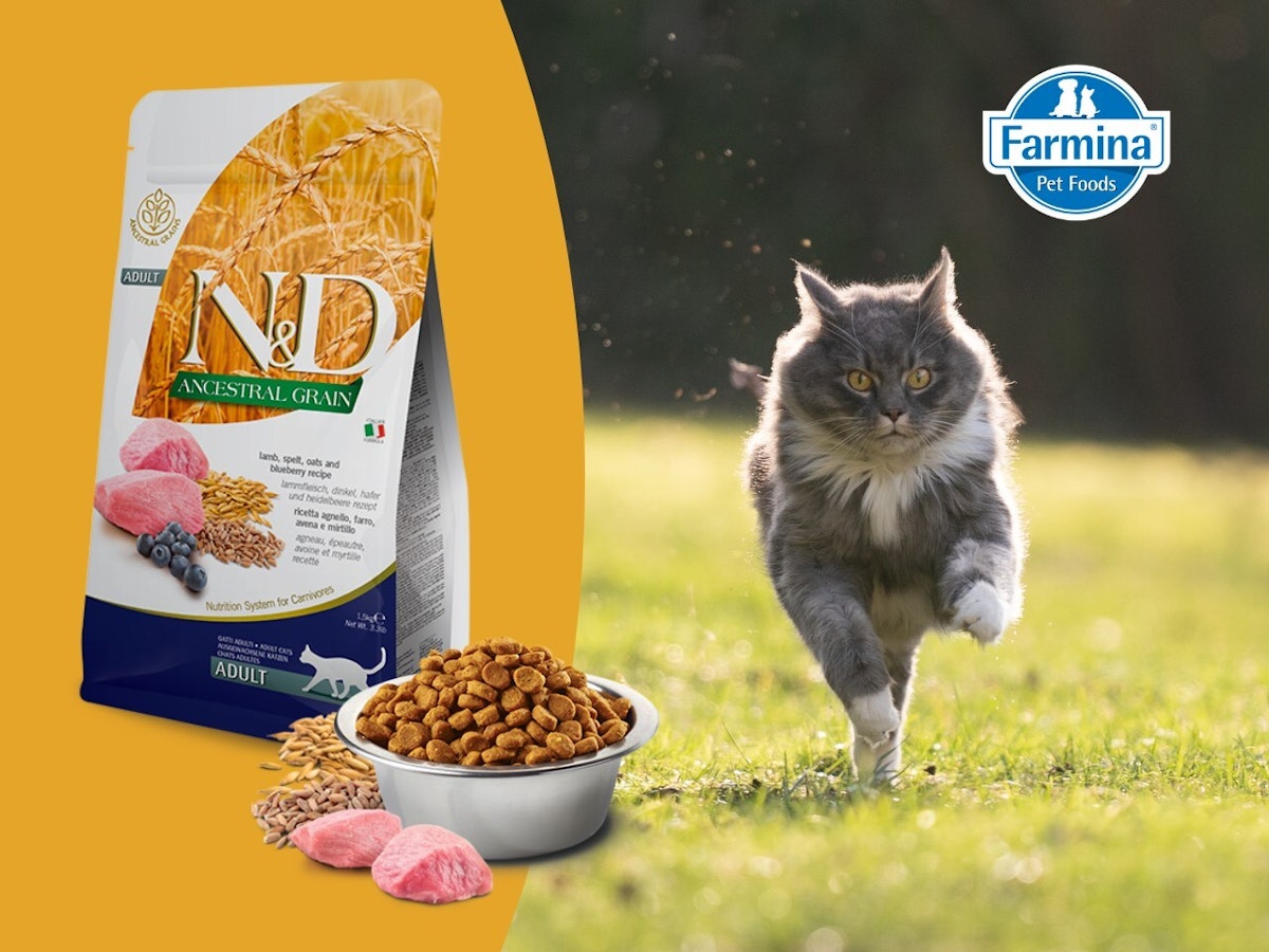 Farmina Pet Foods wins awards for best cat and dog food | PetfoodIndustry