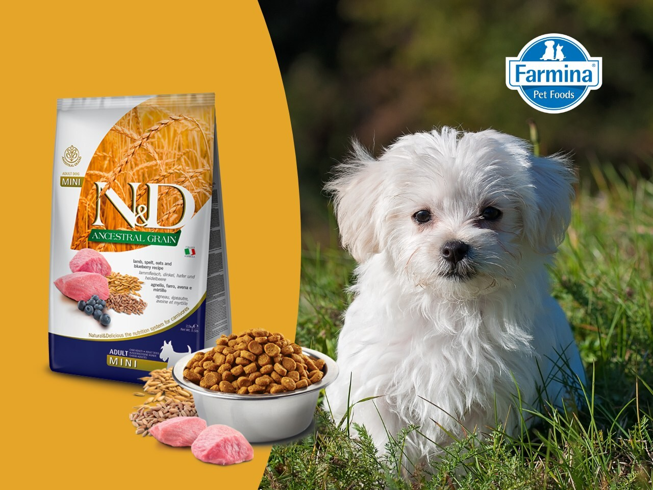 Farmina Pet Foods wins awards for best cat and dog food | PetfoodIndustry