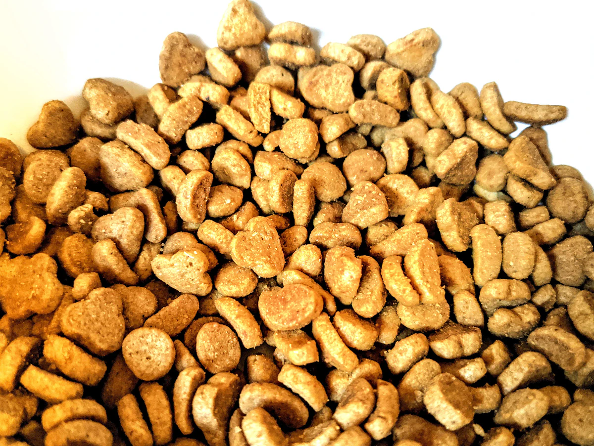 WOAH recognizes dry, extruded pet food as safe for trade | PetfoodIndustry