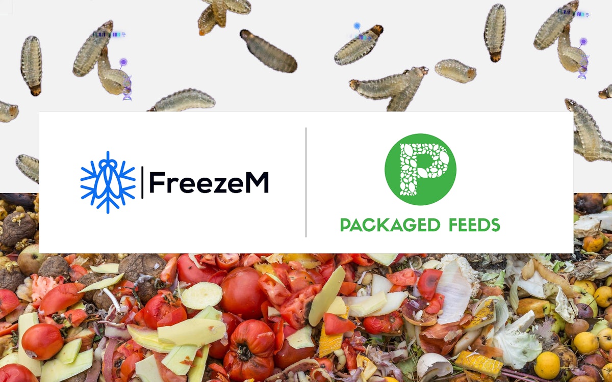 Packaged Feeds partners with FreezeM to advance zero-waste insect ...