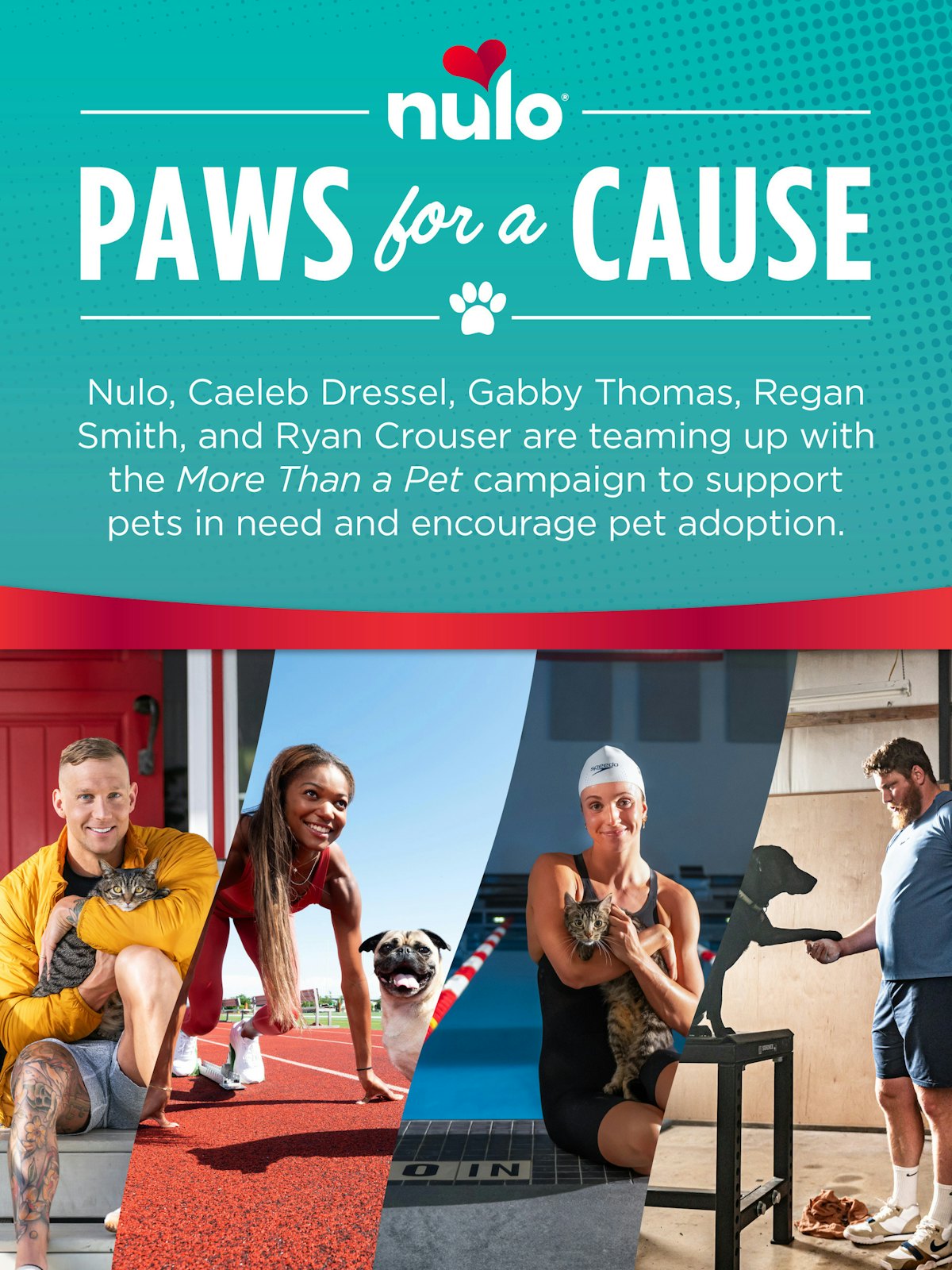 Nulo launches nationwide pet adoption, meal donation campaign ...