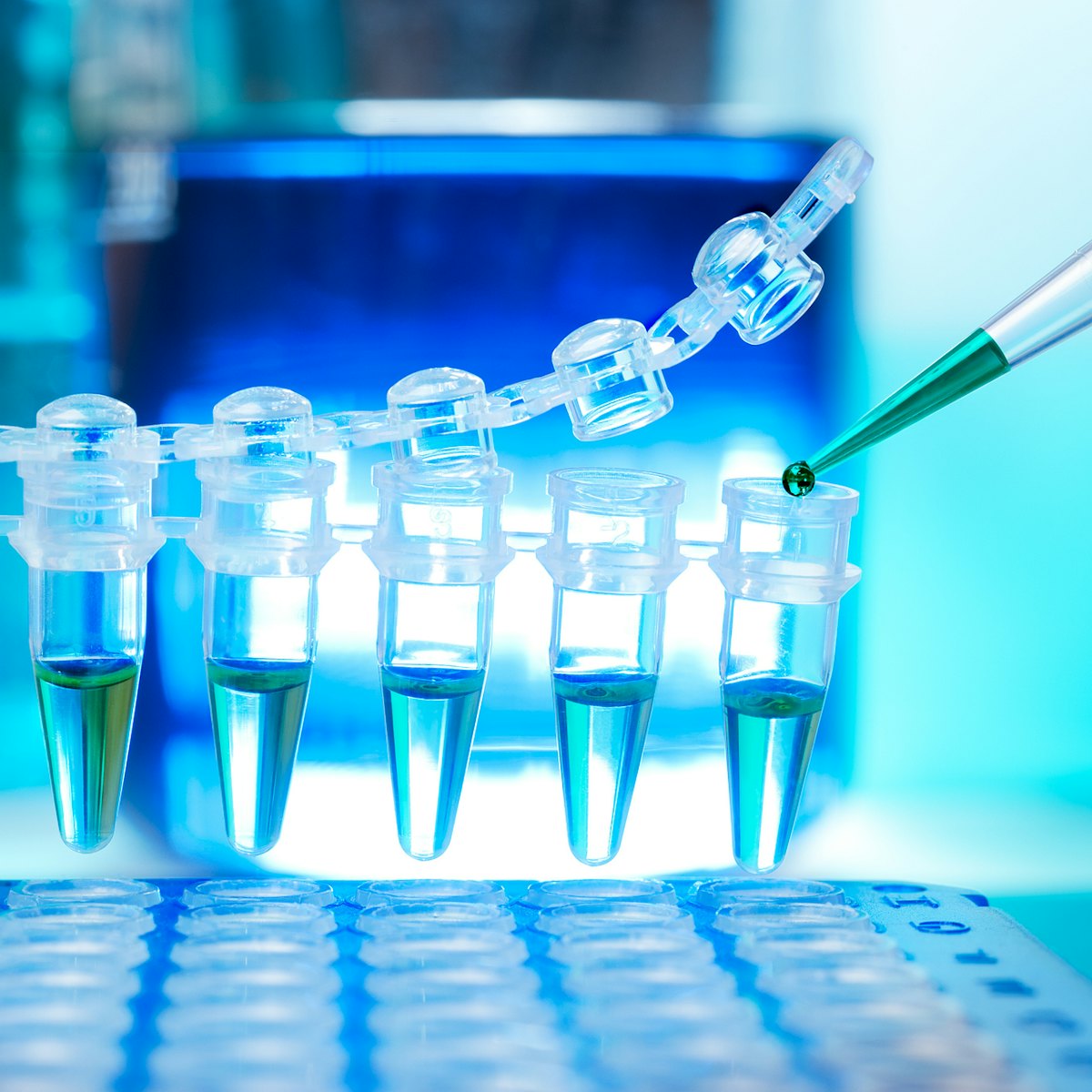 Nestlé to expand pet nutrition innovation with therapeutics focus ...