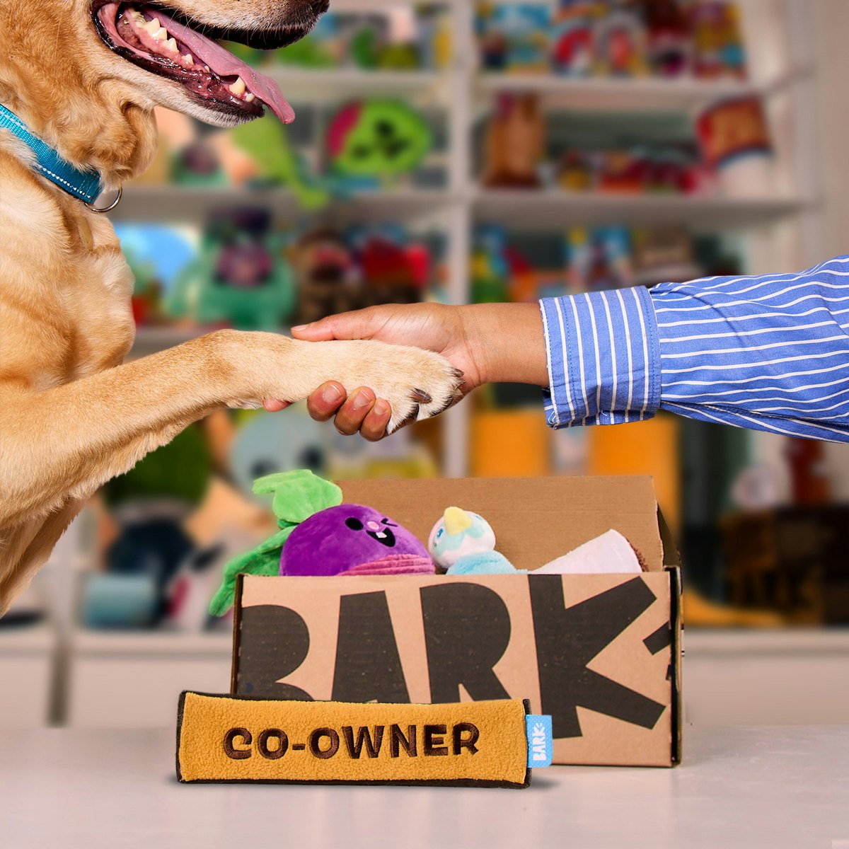 BARK adds dog advisory committee, plans product launch | PetfoodIndustry