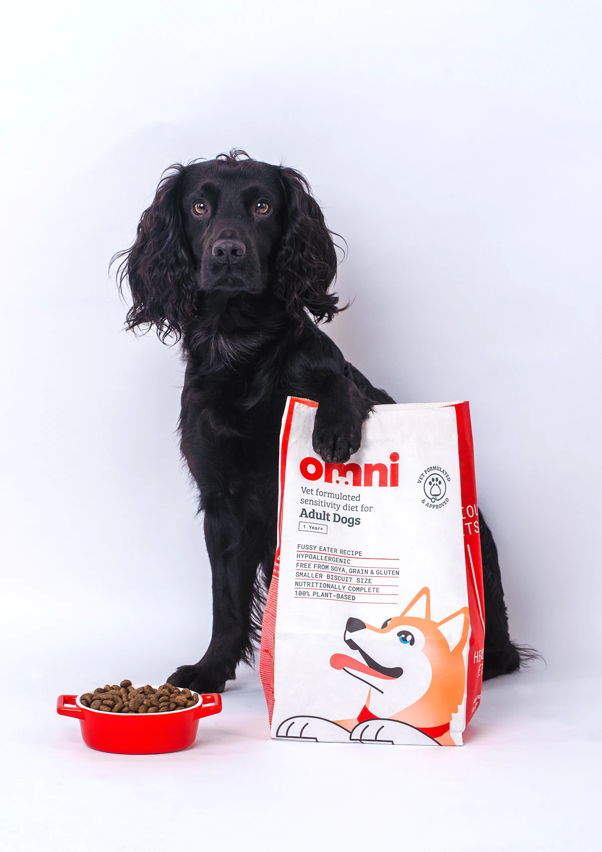Omni: Novel proteins for the allergy-prone pet | PetfoodIndustry