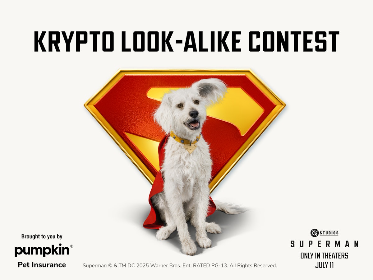 Pumpkin Pet Insurance hosts Krypto look-alike contest | PetfoodIndustry