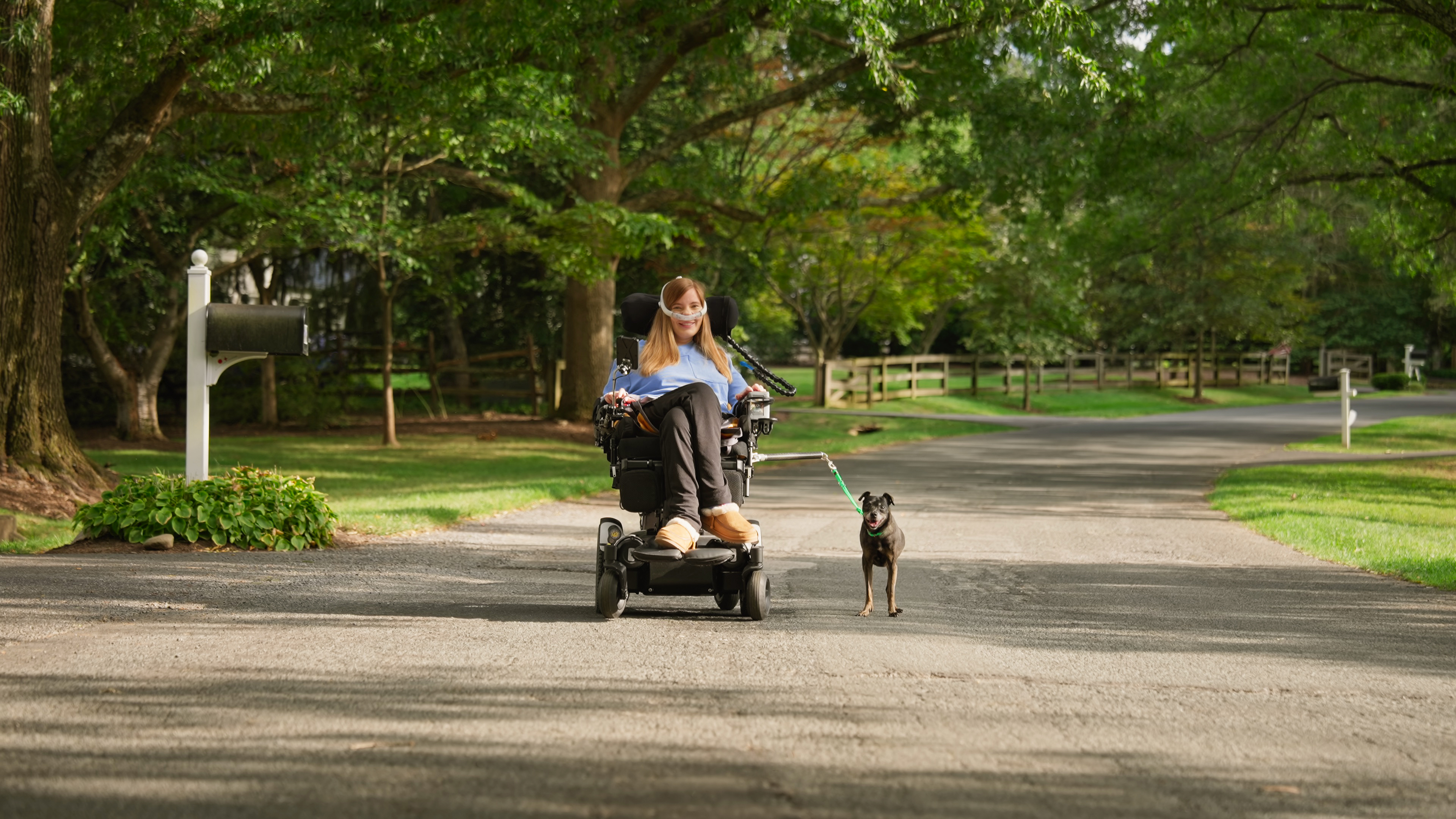 Chewy Claus to donate up to 16 million meals to shelter pets ...