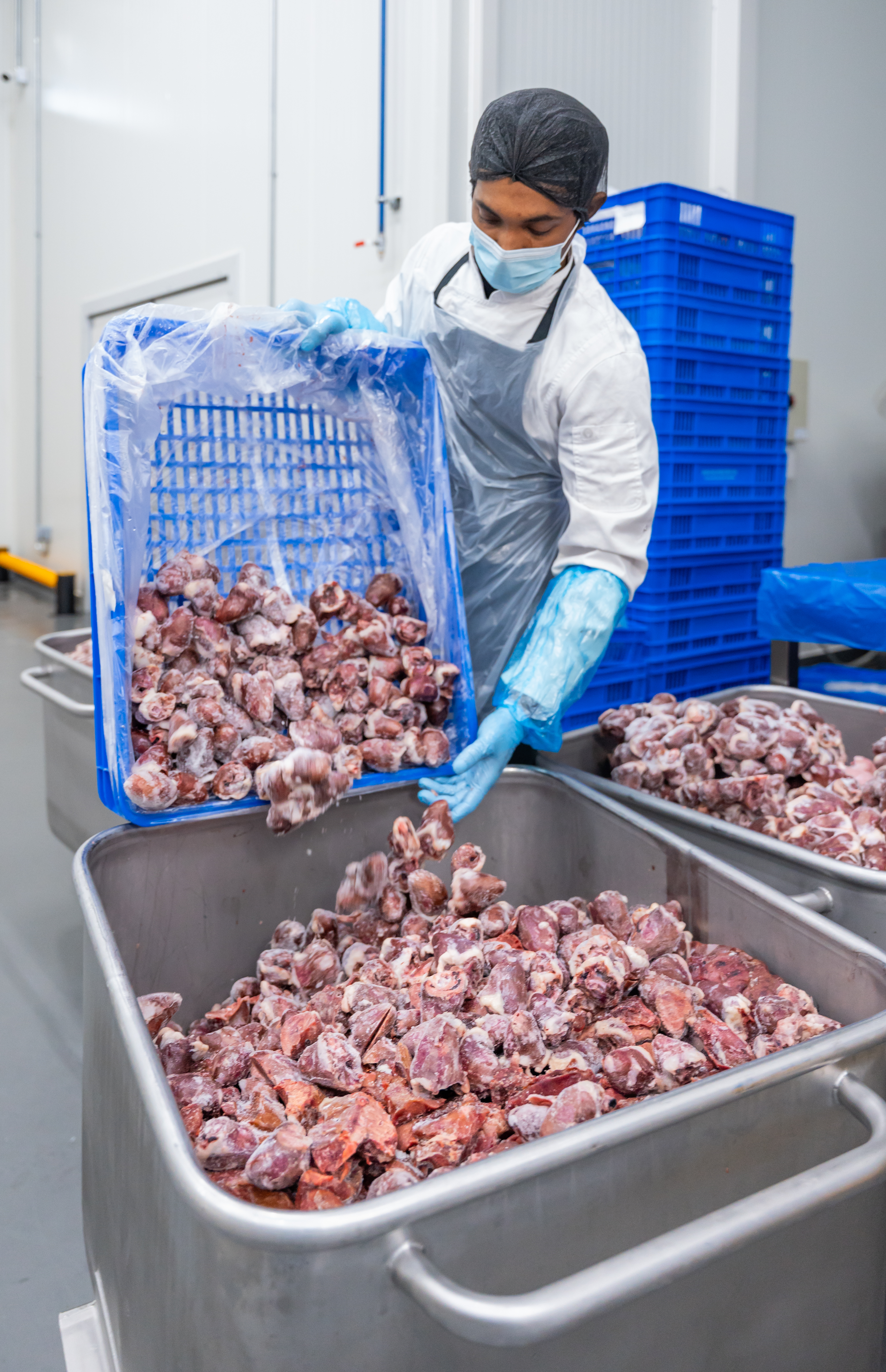 Furchild opens human-grade pet food facility in Dubai | PetfoodIndustry