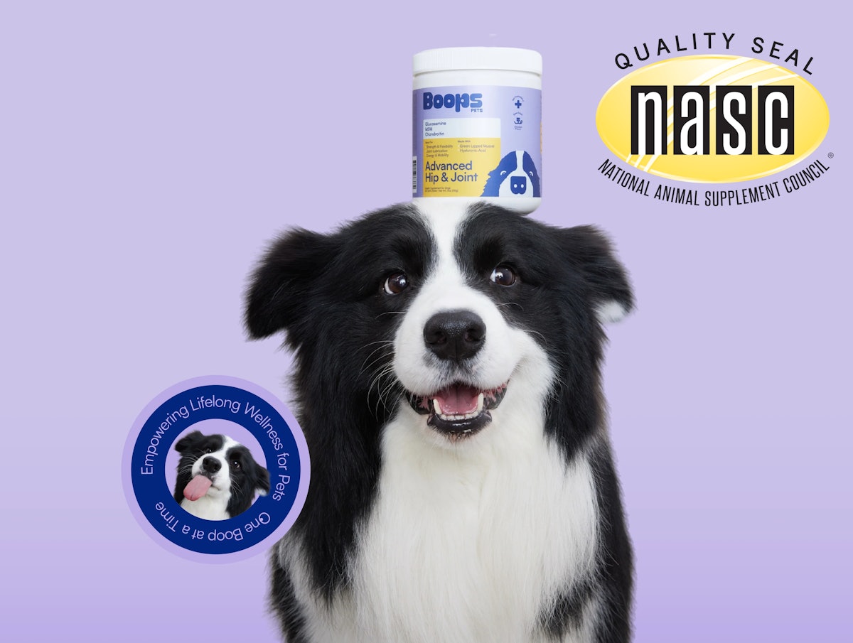 Boops Pets earns NASC Quality Seal certification | PetfoodIndustry
