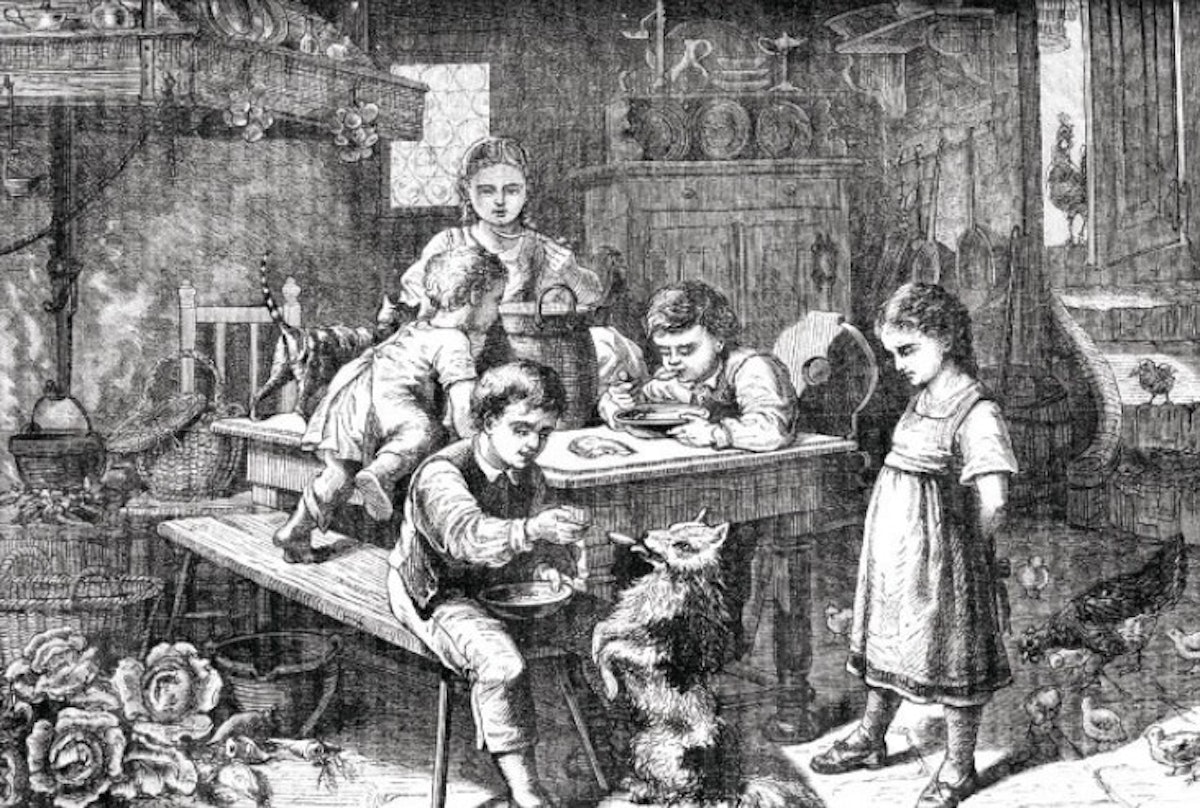 Looking back – Looking forward | PetfoodIndustry