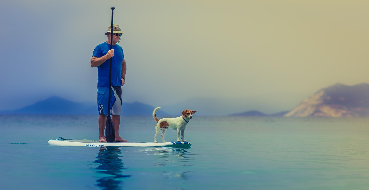 How human wellness trends are reshaping pet food innovation ...