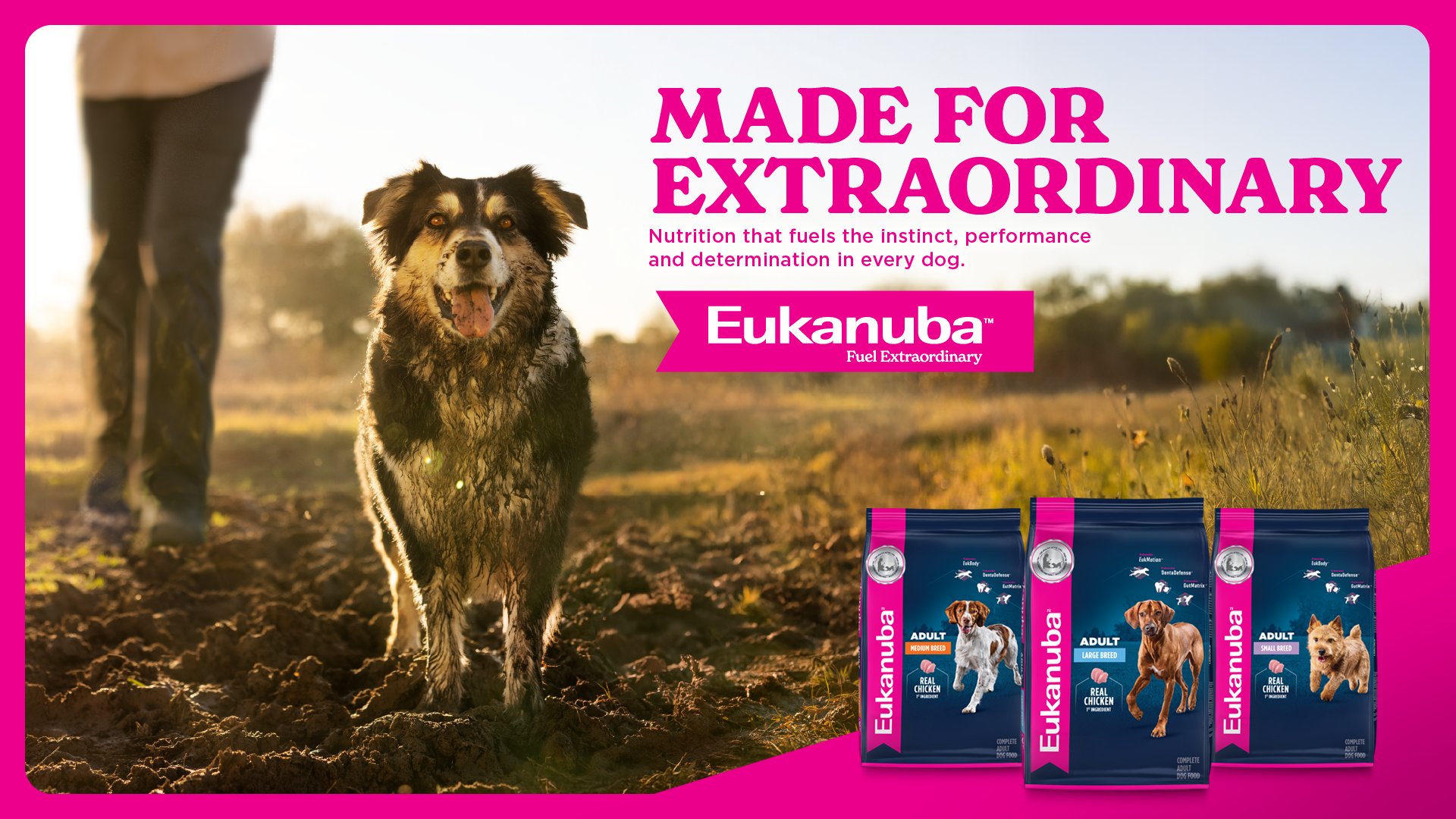 Eukanuba renovates dog food portfolio across 3 product lines ...