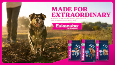 Eukanuba renovates dog food portfolio across 3 product lines ...