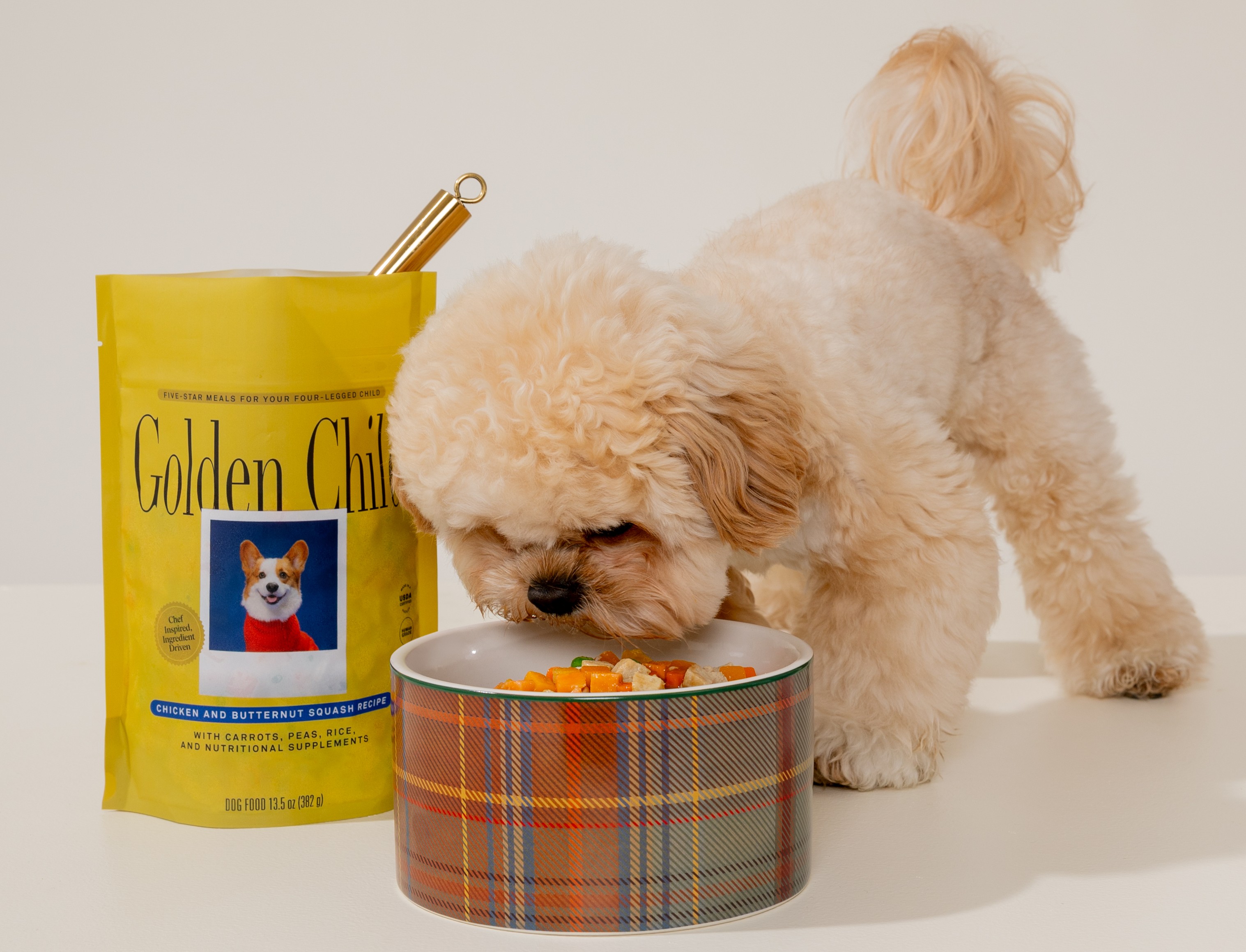 Golden Child launches fresh dog food line | PetfoodIndustry