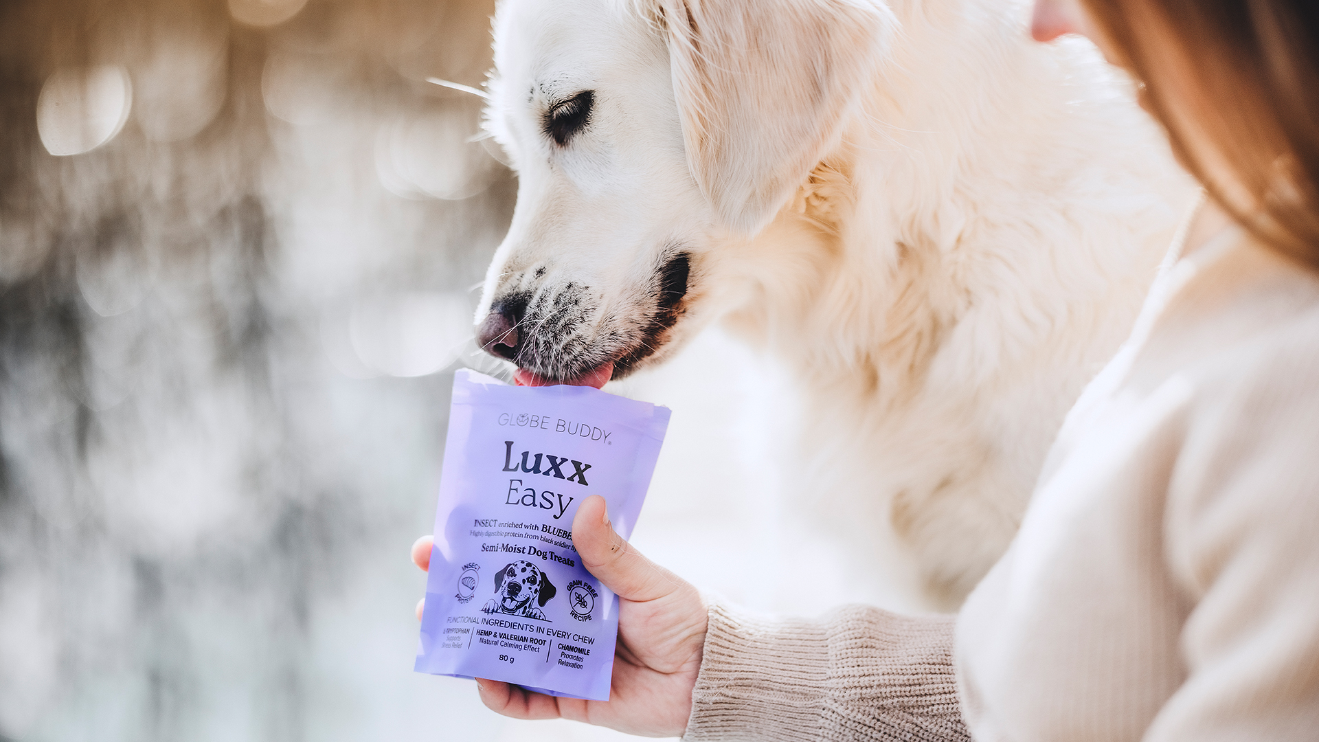 Globe Buddy launches functional insect-protein dog treats | PetfoodIndustry