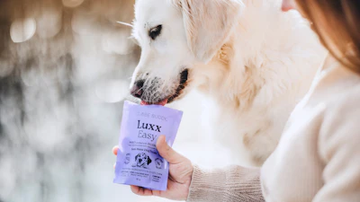 Globe Buddy launches functional insect-protein dog treats | PetfoodIndustry