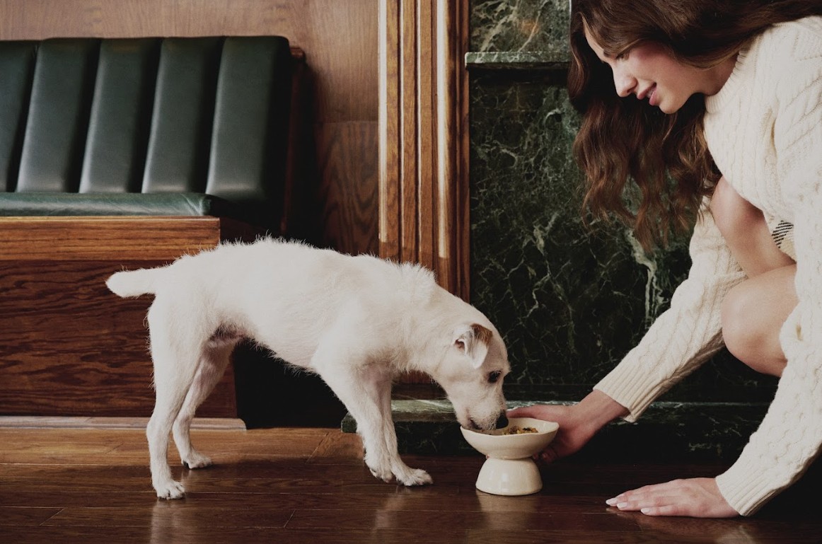 Purely Golden launches clinical-grade small-breed nutrition line ...