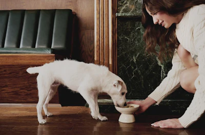 Purely Golden launches clinical-grade small-breed nutrition line ...